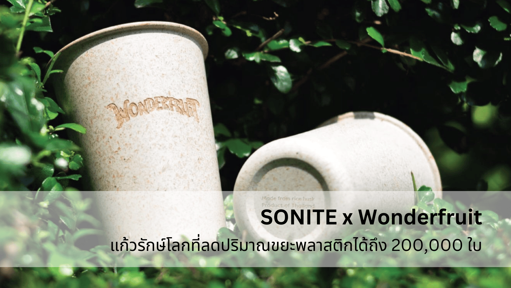 “Wonder Cup” an eco-friendly cup that speaks the soul of Wonderfruit’s ...